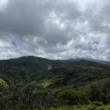 Mahana Ridge Trail, Maui, Hawaii - 1,283 Reviews, Map | AllTrails