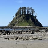 Cape Alava Trail, Washington - 556 Reviews, Map | AllTrails