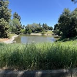 UC Davis Arboretum Trail, California - 1,209 Reviews, Map | AllTrails
