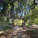 UC Davis Arboretum Trail, California - 1,359 Reviews, Map | AllTrails