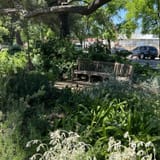 UC Davis Arboretum Trail, California - 1,253 Reviews, Map | AllTrails