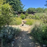UC Davis Arboretum Trail, California - 1,253 Reviews, Map | AllTrails