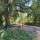 UC Davis Arboretum Trail, California - 1,359 Reviews, Map | AllTrails