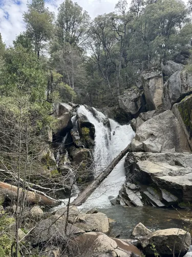 Best Trail Running Trails in Oakhurst | AllTrails