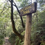 Cataract Falls Trail, California - 3,661 Reviews, Map | AllTrails