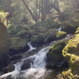 Cataract Falls Trail, California - 3,661 Reviews, Map | AllTrails