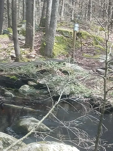 Best Forest Trails in Tully Lake Recreation Area | AllTrails