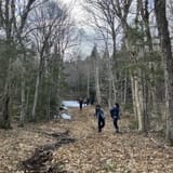 Manning Trail, New Hampshire - 172 Reviews, Map | AllTrails