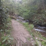 Kelly's Run Loop Trail, Pennsylvania - 3,342 Reviews, Map | AllTrails