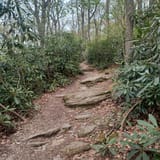 Kelly's Run Loop Trail, Pennsylvania - 3,398 Reviews, Map | AllTrails