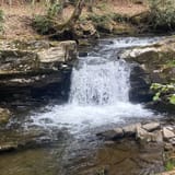 Seneca Creek Trail, West Virginia - 331 Reviews, Map | AllTrails
