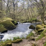 Golitha Falls, Cornwall, England - 170 Reviews, Map | AllTrails