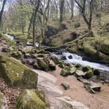 Golitha Falls, Cornwall, England - 170 Reviews, Map | AllTrails