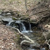 Old Loggers Path, Pennsylvania - 670 Reviews, Map | AllTrails