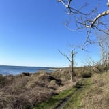 Black Point Trail, Rhode Island - 818 Reviews, Map | AllTrails