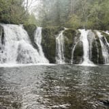 Beaver Falls, Washington - 283 Reviews, Map | AllTrails
