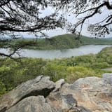 Weverton Cliffs, Maryland - 3,639 Reviews, Map | AllTrails