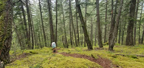 Best Hikes and Trails in Spuzzum | AllTrails