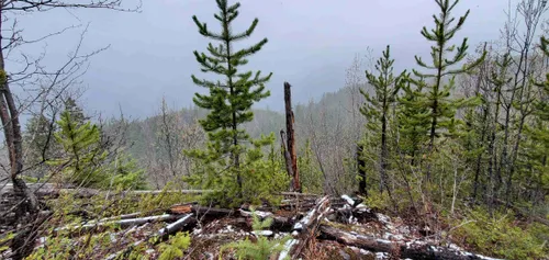 Best Hikes and Trails in Spuzzum | AllTrails