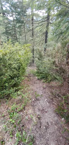 Best Hikes and Trails in Spuzzum | AllTrails