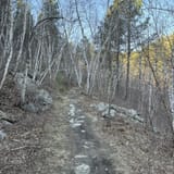 Coon Hollow Loop, South Dakota - 1,292 Reviews, Map | AllTrails