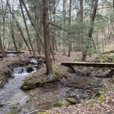 Morrison Loop Trail, Pennsylvania - 338 Reviews, Map | AllTrails
