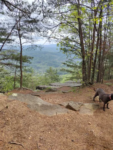 Best Camping Trails in Delano | AllTrails