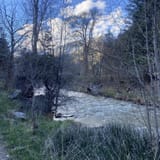 Uncompahgre River Walk Loop, Colorado - 659 Reviews, Map | AllTrails
