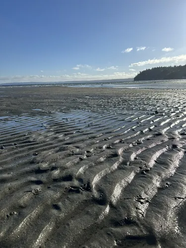 Best Easy Trails in Dash Point State Park | AllTrails