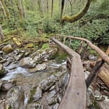 Ramsey Cascades Trail, Tennessee - 2,384 Reviews, Map | AllTrails