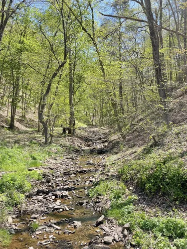 Best Hikes and Trails in Lock 60 Schuylkill Canal Park | AllTrails