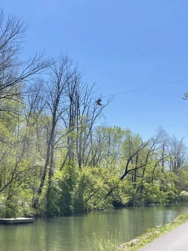 Best Trail Running Trails in Mont Clare | AllTrails