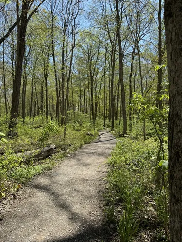 Best Views Trails in Cincinnati Nature Center: Rowe Woods | AllTrails