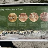 Fossil Exhibit Trail, South Dakota - 778 Reviews, Map | AllTrails