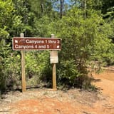 Canyon Loop Trail, Georgia - 2,337 Reviews, Map | AllTrails