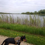 Van Patten Woods Forest Preserve Loop, Illinois - 751 Reviews, Map ...