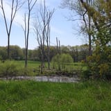 Van Patten Woods Forest Preserve Loop, Illinois - 751 Reviews, Map ...