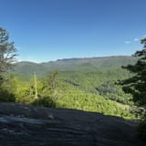 Cat Gap Loop Trail, North Carolina - 746 Reviews, Map | AllTrails
