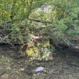 White Cliff Quarry Park, Missouri - 586 Reviews, Map | AllTrails