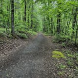 Iron Hill Loop, Georgia - 4,983 Reviews, Map | AllTrails