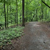 Iron Hill Loop, Georgia - 4,950 Reviews, Map | AllTrails