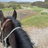 Towell Falls from Escure Ranch, Washington - 207 Reviews, Map | AllTrails