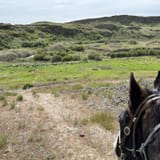 Towell Falls from Escure Ranch, Washington - 207 Reviews, Map | AllTrails