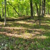 White Bison Loop, Missouri - 2,467 Reviews, Map | AllTrails