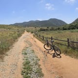 Grasslands Loop Trail, California - 1,717 Reviews, Map | AllTrails