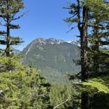Rampart Ridge Loop, Washington - 2,247 Reviews, Map | AllTrails