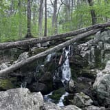 Zoar Trail, Connecticut - 2,280 Reviews, Map | AllTrails