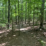 Deep Run Park Perimeter Trail, Virginia - 1,037 Reviews, Map | AllTrails