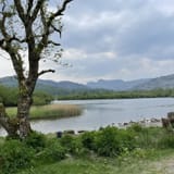 Elterwater Lake Circular, Cumbria, England - 237 Reviews, Map | AllTrails
