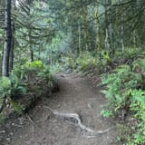 Evergreen Beach Trail, Washington - 694 Reviews, Map | AllTrails